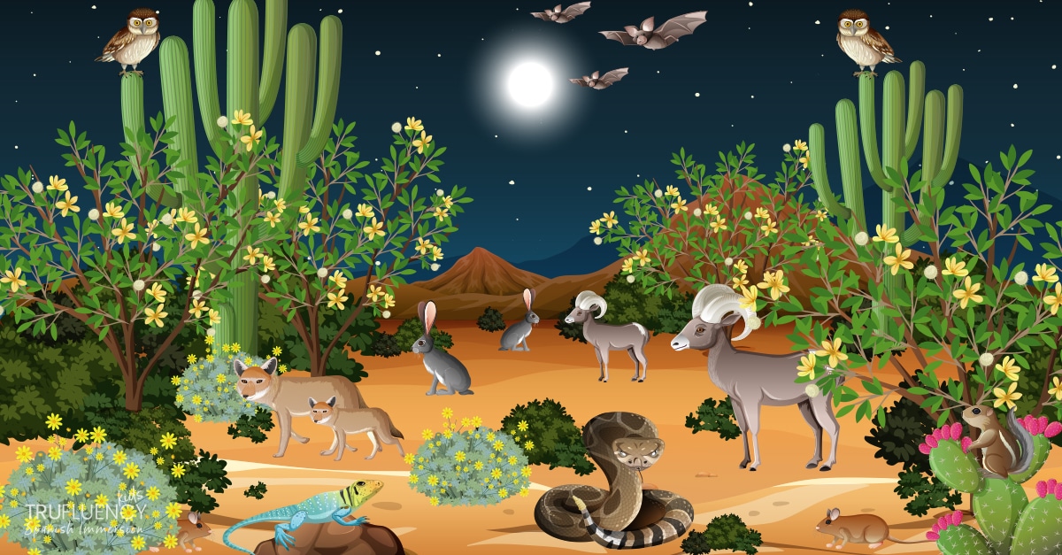 Desert Animal Names in Spanish